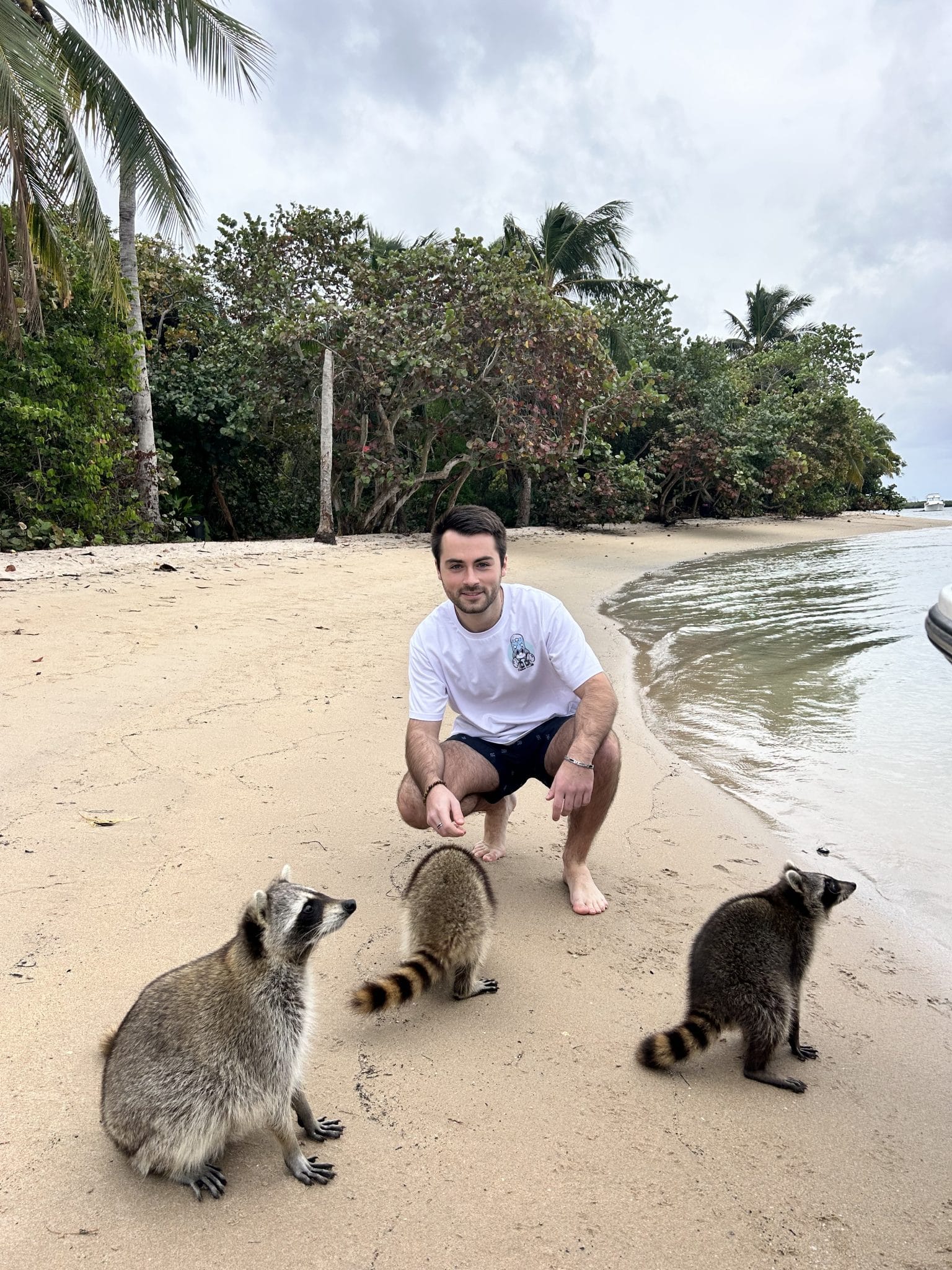 Go To Raccoon Island Miami: Best Private Tours Prices