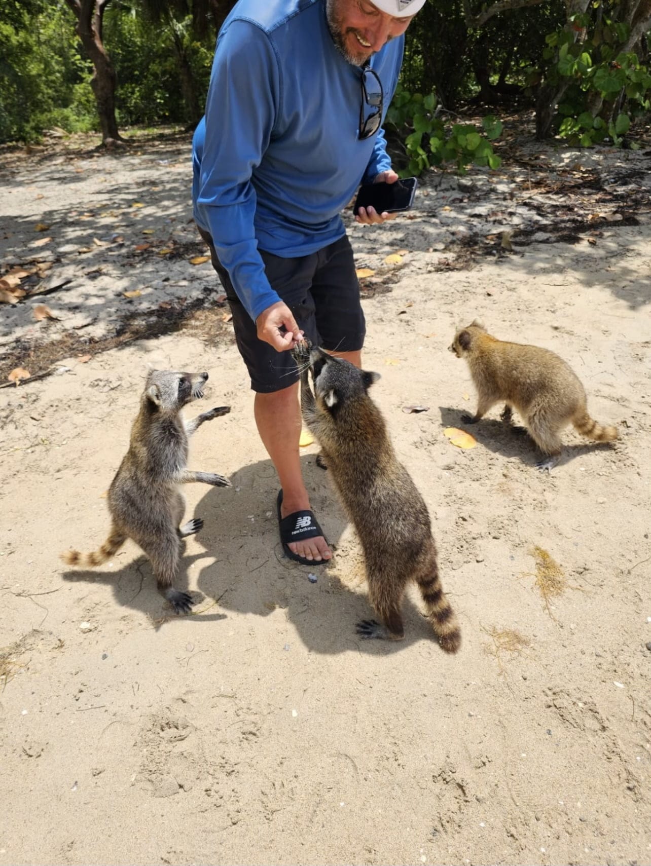 Go To Raccoon Island Miami: Best Private Tours Prices