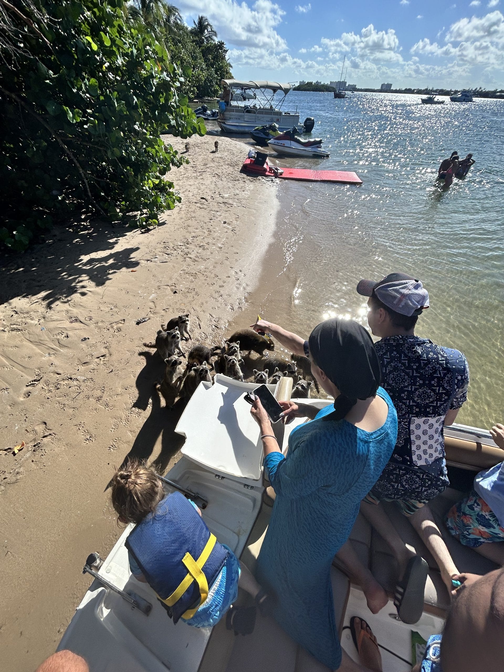 Go To Raccoon Island Miami: Best Private Tours Prices